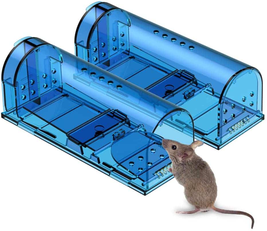 How to Keep Mice Out Of Your Camper (The Easy Way)