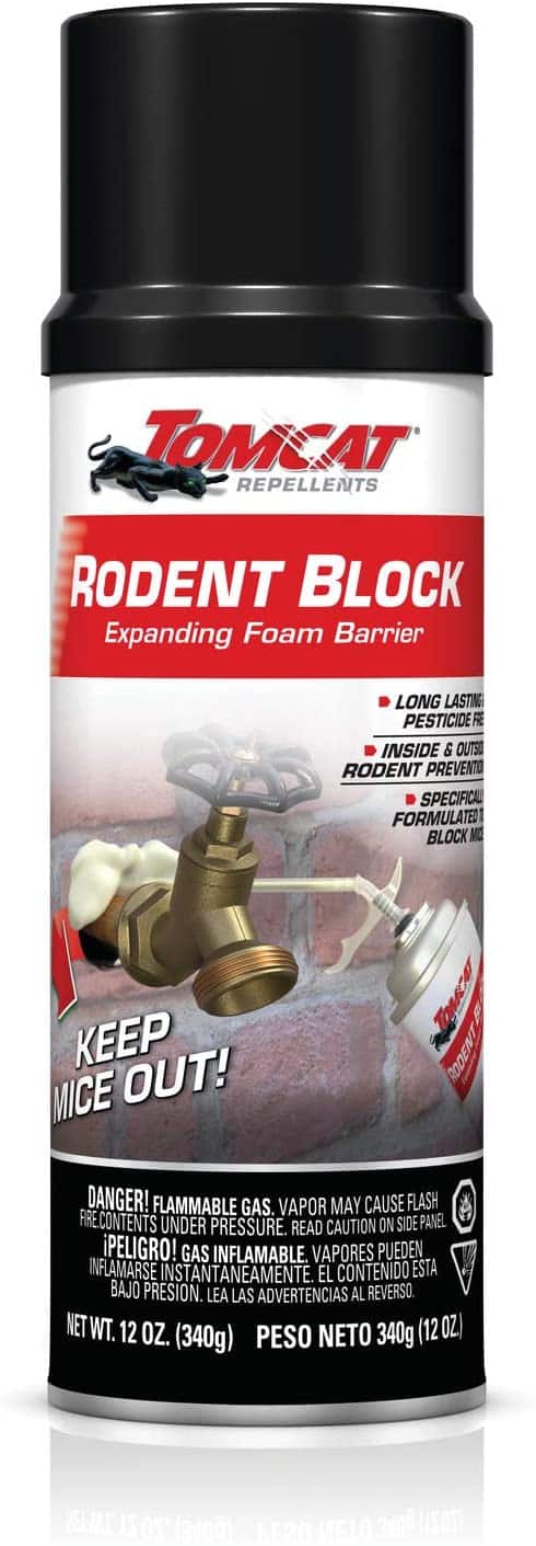 How to Keep Mice Out Of Your Camper (The Easy Way)