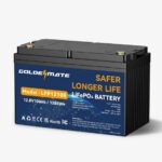 GOLDENMATE 12V 100Ah LiFePO4 Lithium Battery Review: Power Up Your ...